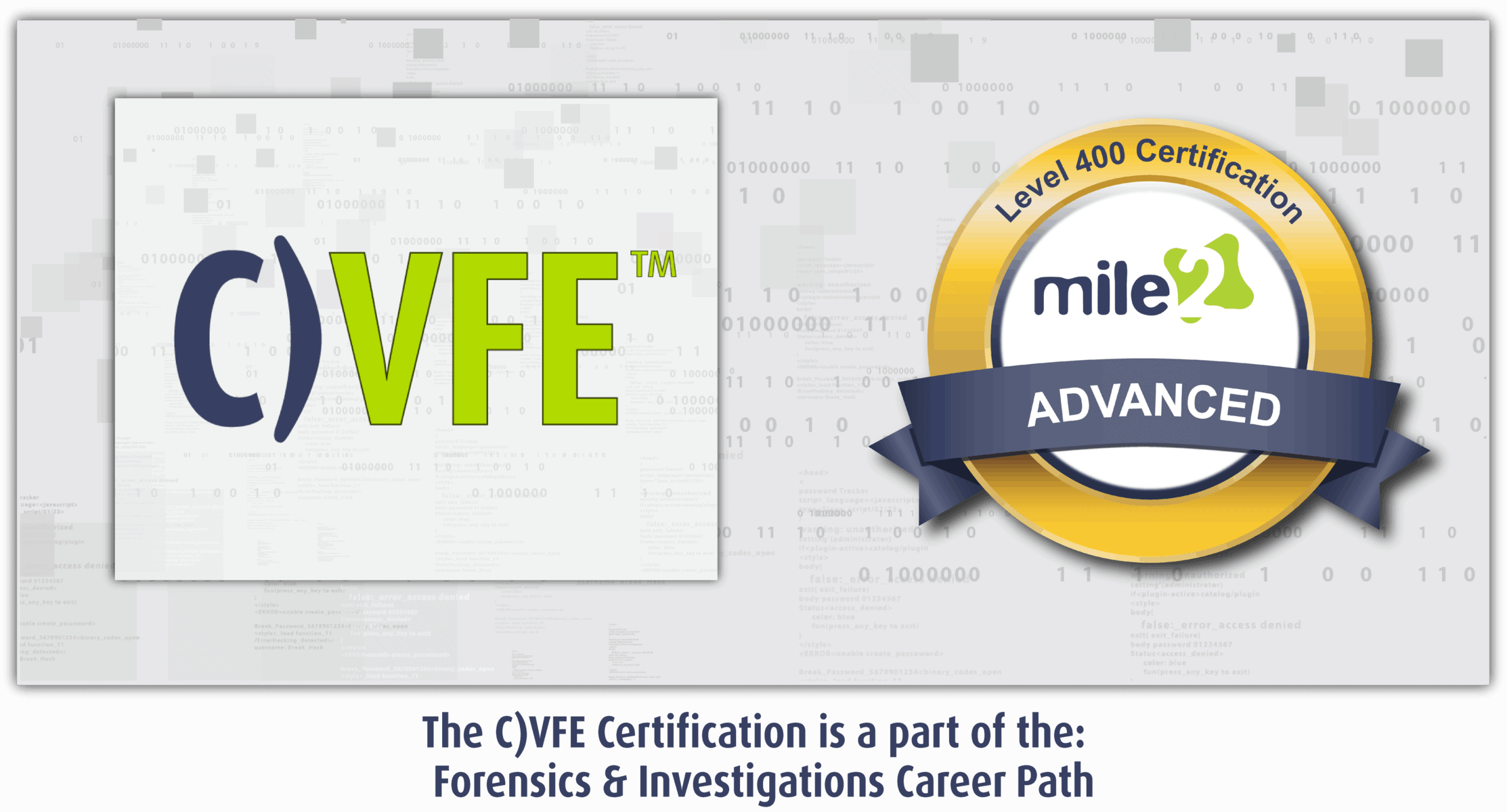 C)VFE: Certified Virtualization Forensics Examiner (LC) - Mile2 ...